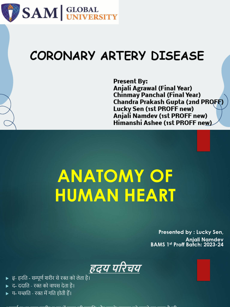 Sym 1 Merged | PDF | Heart Valve | Atrium (Heart)