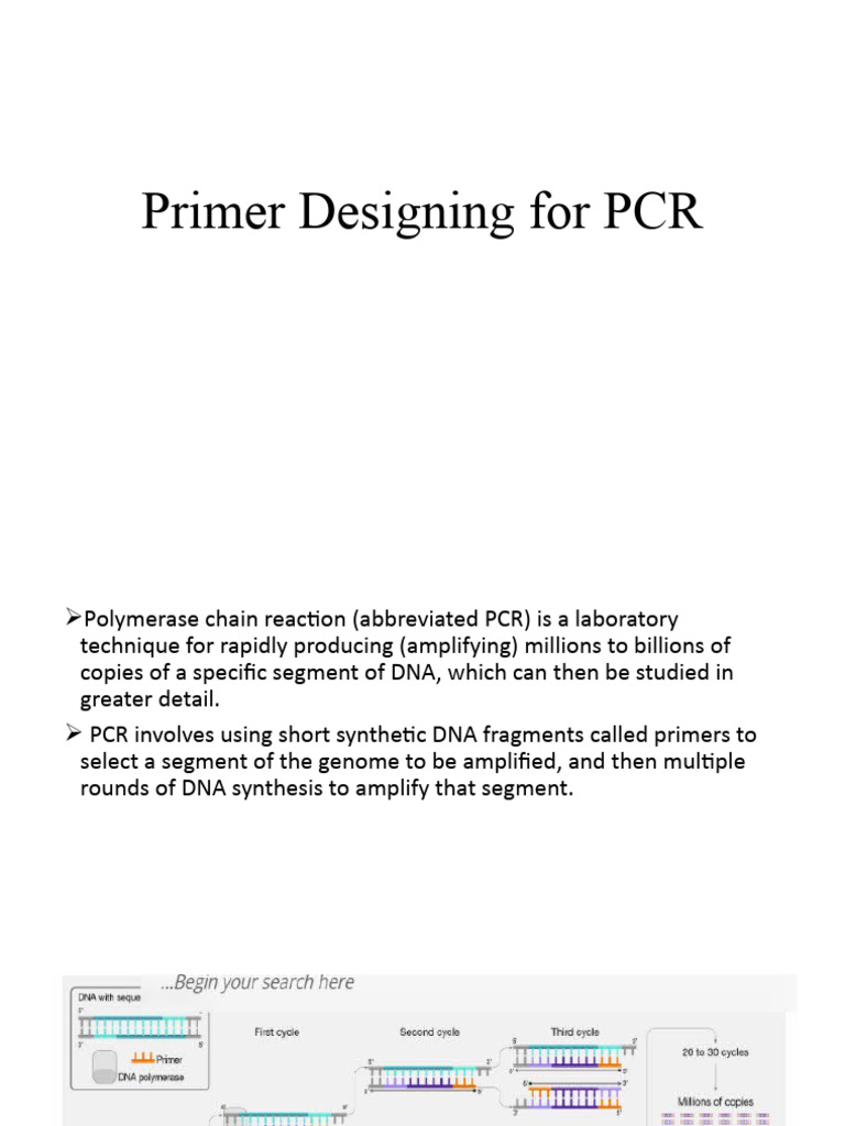 Primer | PDF