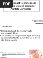 All Blood Test Name List PDF | PDF | Wellness
