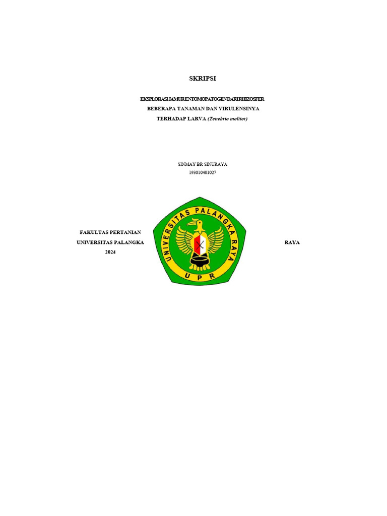 Cover Skripsi Sinmay | PDF