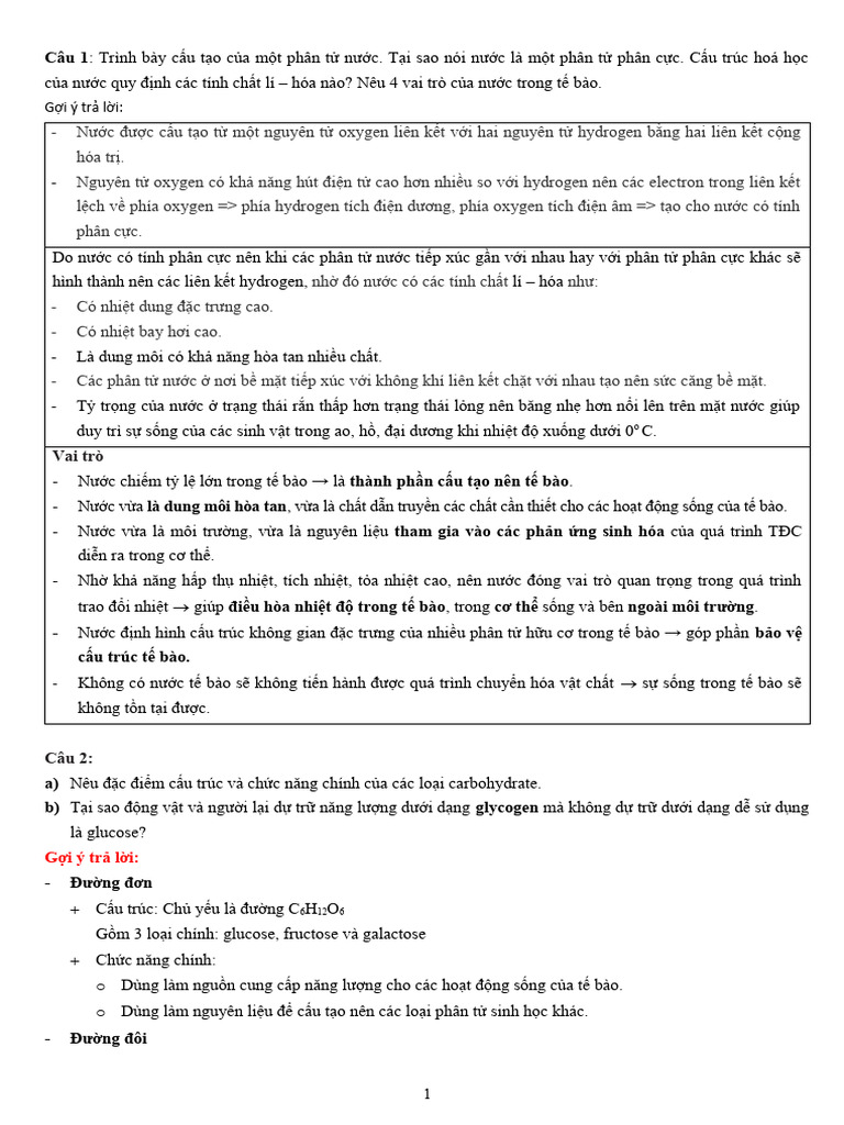 De Cuong Thi Danh Gia Cong Bang HK1 Mon Sinh Hoc 10A2 Ly | PDF