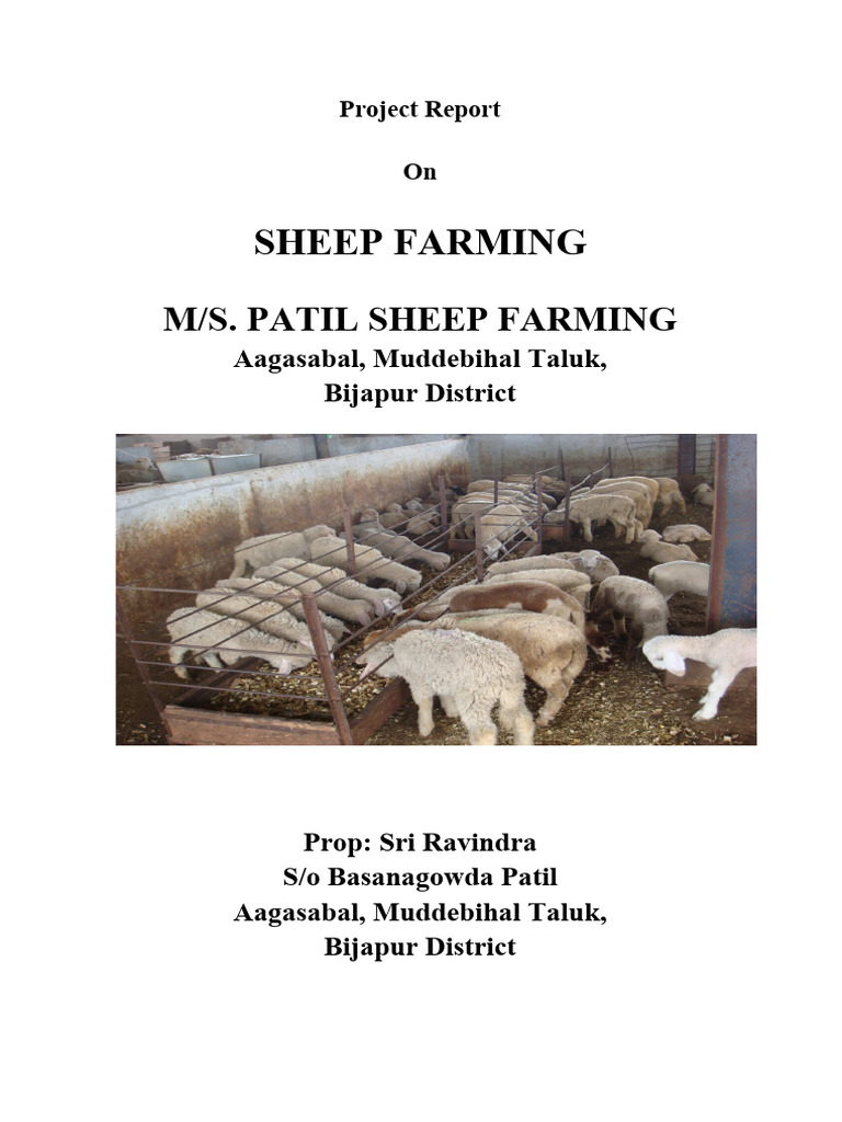 Sheep Farming | PDF | Sheep | Agriculture