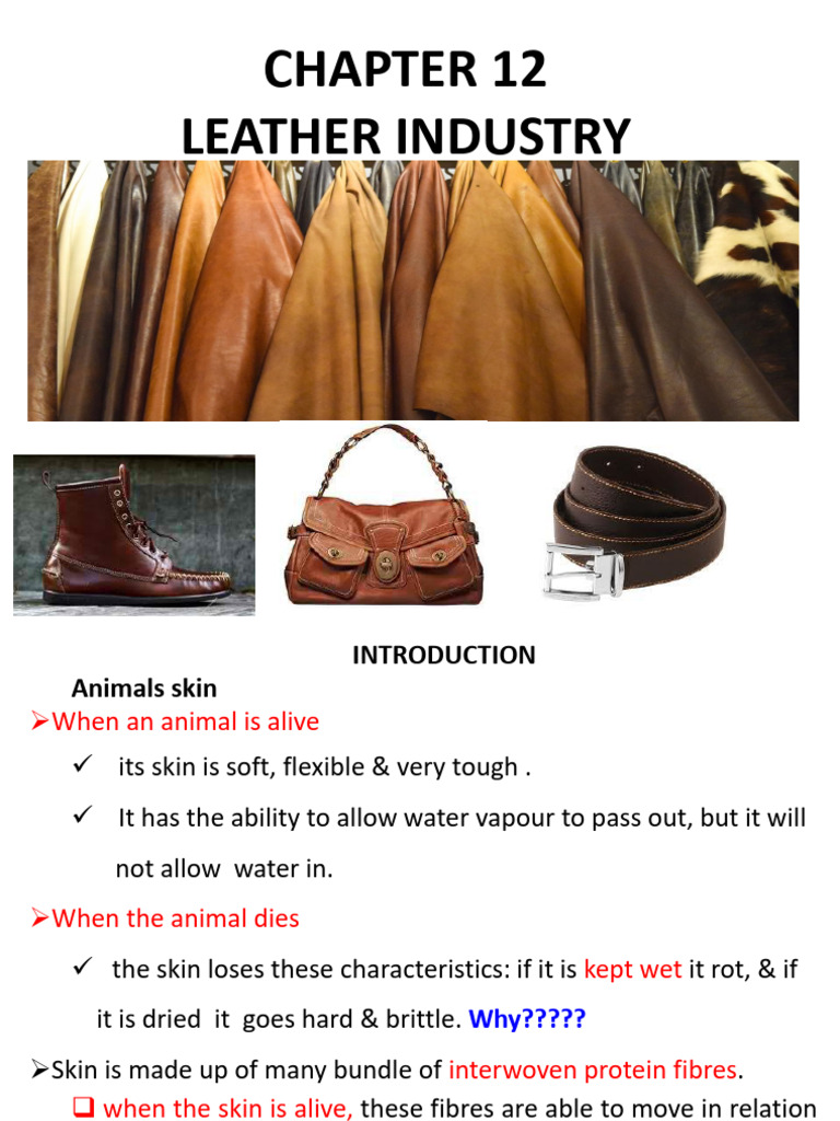 Leather Manufacturing Process | PDF | Leather | Collagen