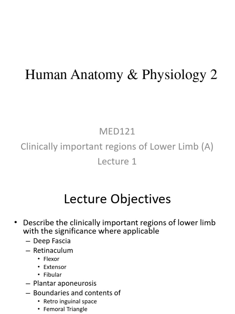 Week 6, Clinically Important Regions of Lower Limb 23c108fe0ef9 | PDF ...