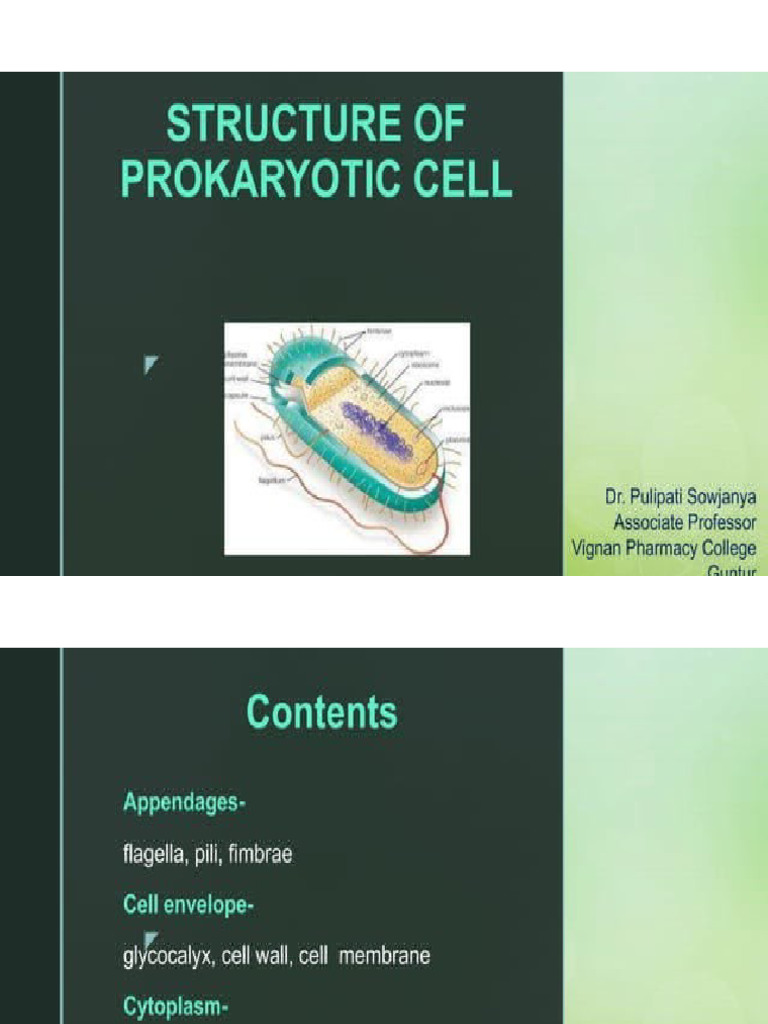Prokaryotic | PDF