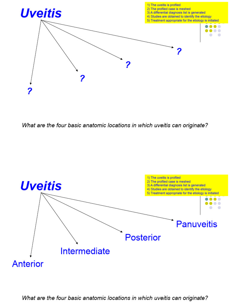 Uveitis: What Are The Four Basic Anatomic Locations in Which Uveitis ...