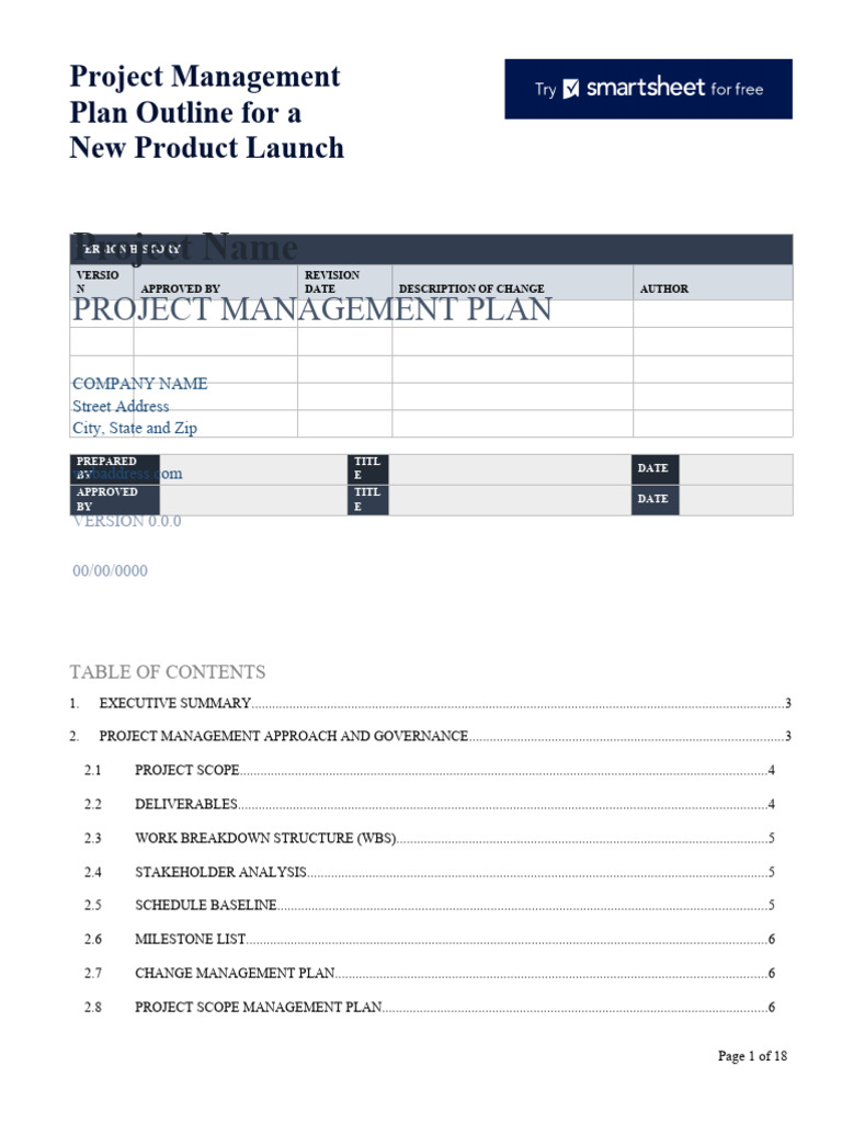 IC Project Management Plan Outline for a New Product Launch 11426 WORD ...