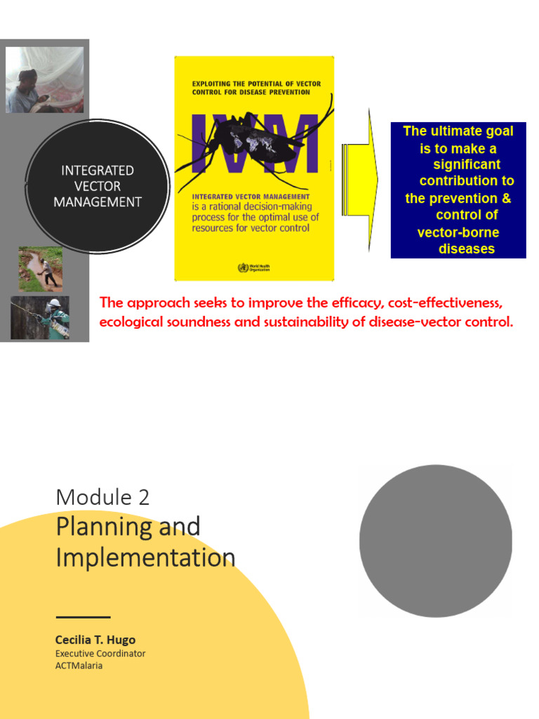 12b_IVM Planning and Implementation | PDF | Aedes Aegypti | Epidemiology