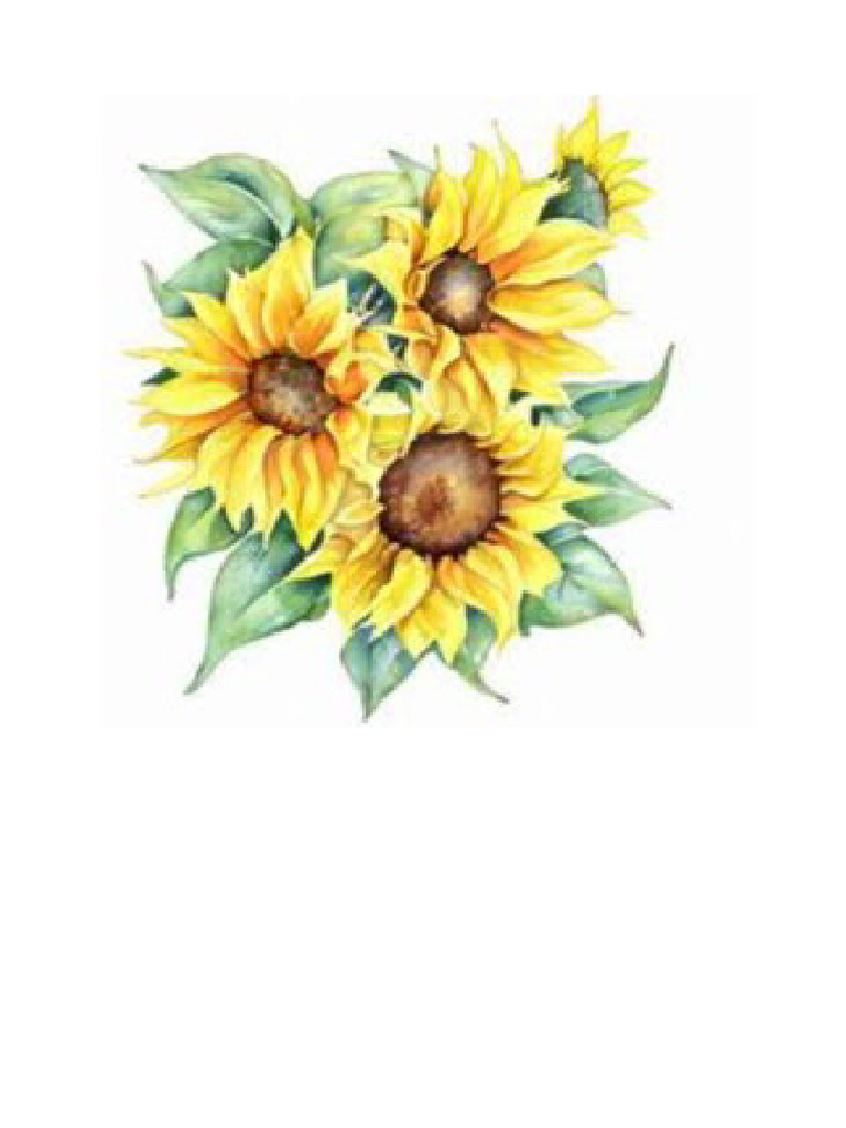 Sunflowers | PDF