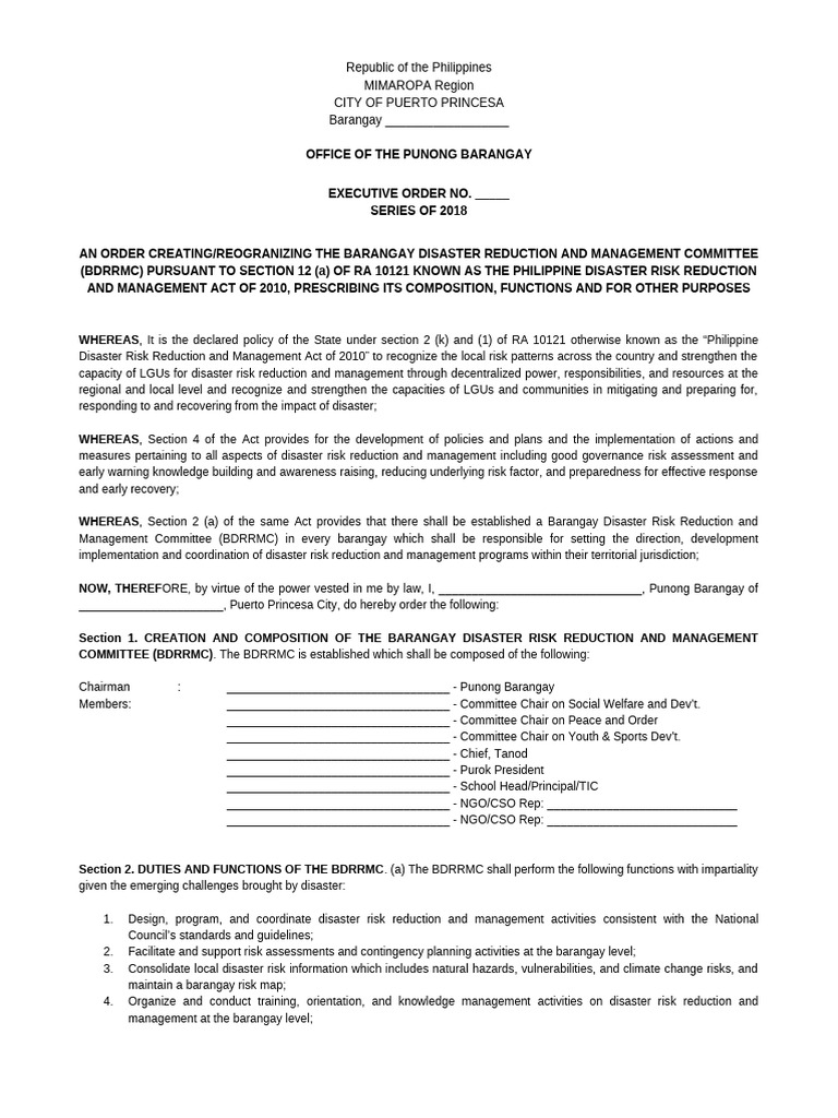 Eo On BDRRMC | PDF | Disaster Risk Reduction | Safety
