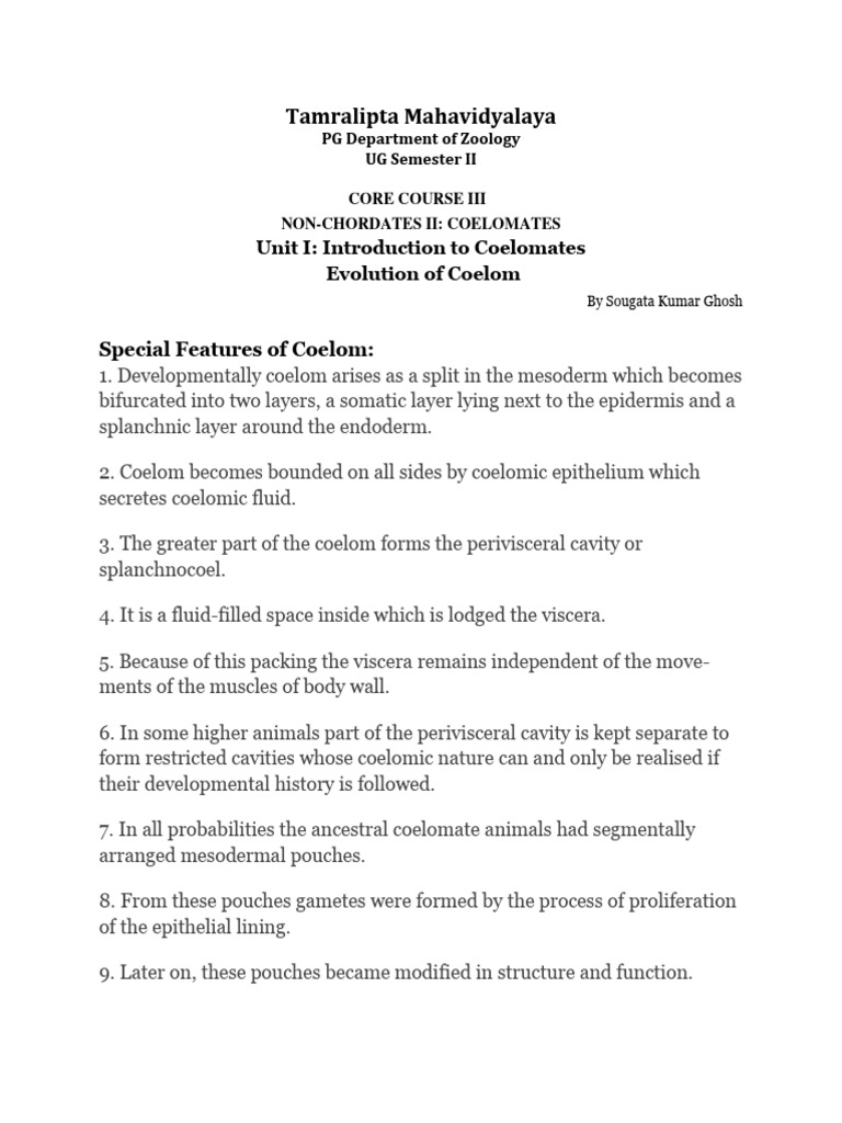 SEM 2 Evolution of Coelom | PDF | Anatomy | Biology