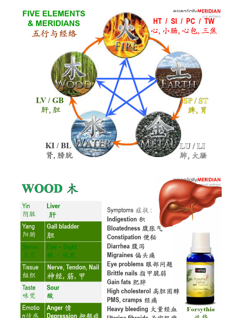 2A Handouts For Students | PDF