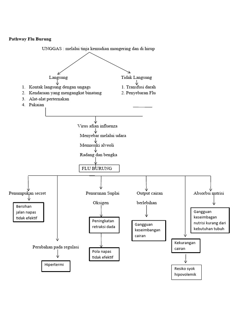 Pathway Flu Burung | PDF