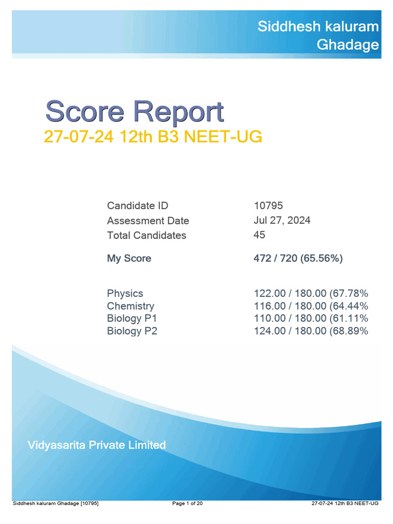 Report (20429 - 10795) (1) | PDF | Natural Sciences | Standardized Tests