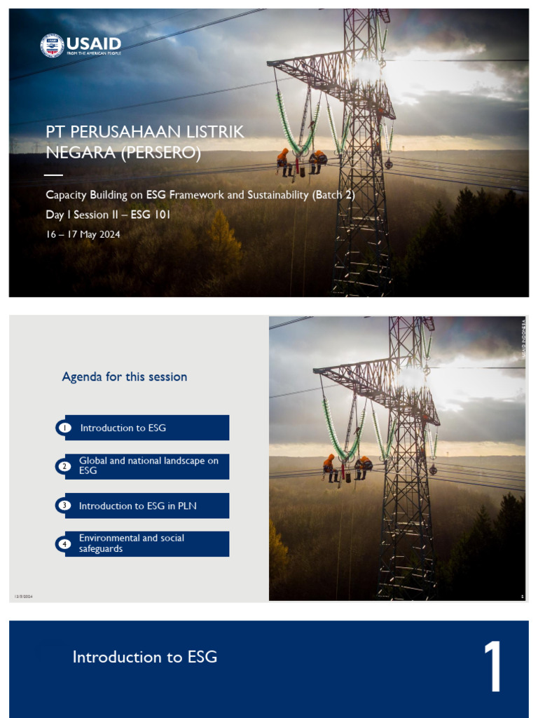 ESG Framework Training for PLN Staff | PDF | Sustainability | Low ...