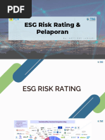 ESG Reporting Process Overview | PDF | Governance | Sustainability