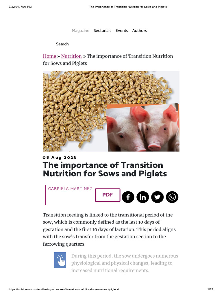 The Importance of Transition Nutrition For Sows and Piglets | PDF | Pig ...