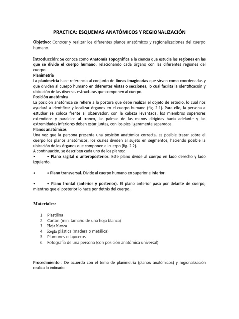 Practica Esquemas Anatomicos y Regionalización | PDF | Anatomía