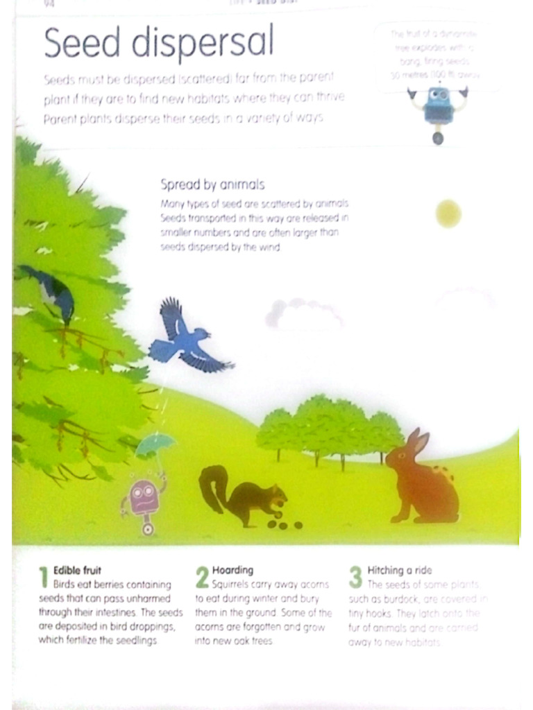 Seed Dispersal | PDF