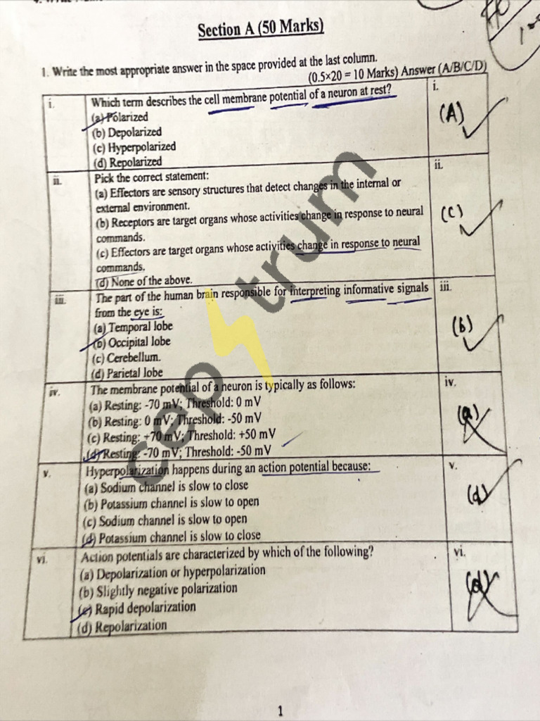 BT101 2022 Endsem | PDF