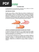 Pasos Quirúrgicos para La Cesárea Tipo Kerr | PDF | Abdomen | Seccion ...