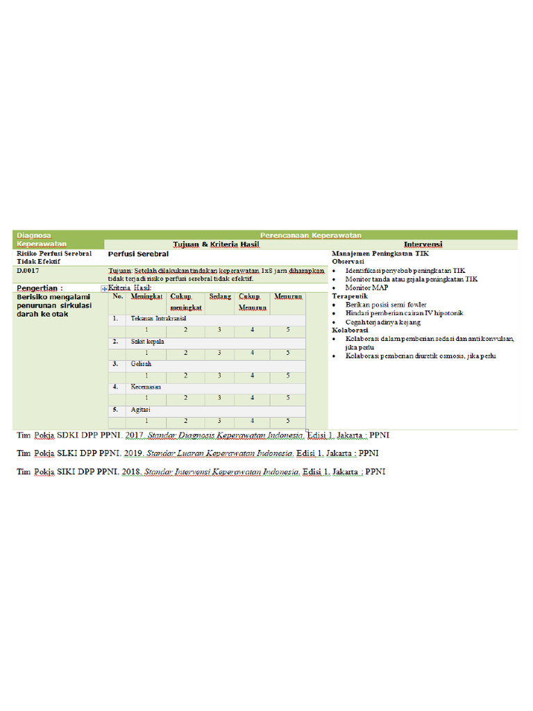 Sdki Slki Siki Risiko Perfusi Serebral Tidak Efektif | PDF