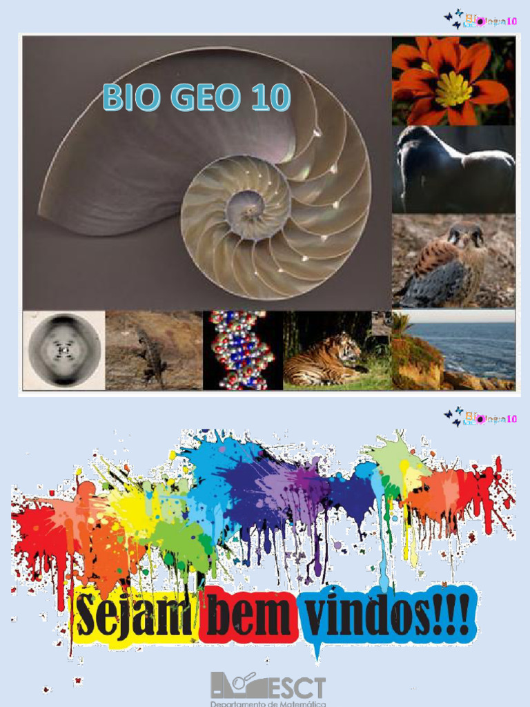 Regras e Metodologias em Bio Geo 10 | PDF | Geologia | Science