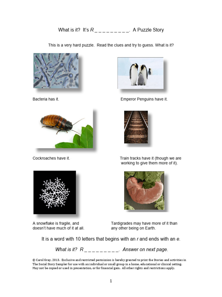 What Is It - A Puzzle Story | PDF