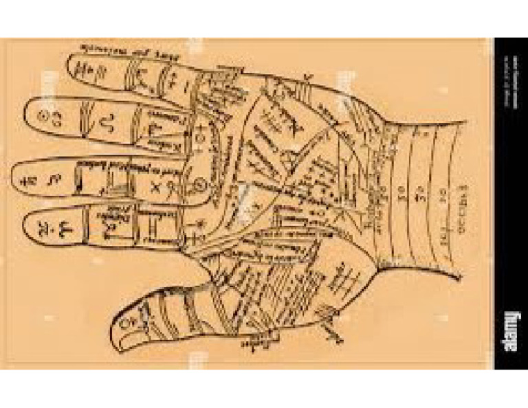 Palm Sign | PDF