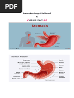 Necropsy Report | PDF | Stomach | Autopsy