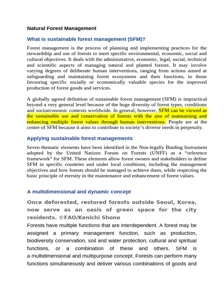 Natural Forest Management | PDF | Sustainability | Forests