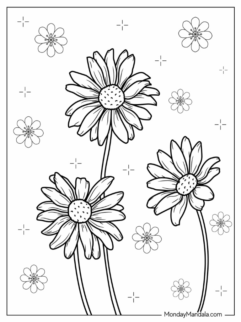 Three Spring Daisy Flowers | PDF