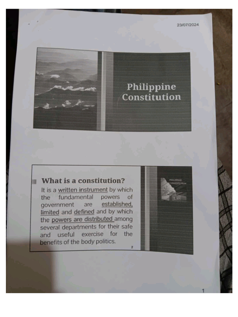 Constitution | PDF