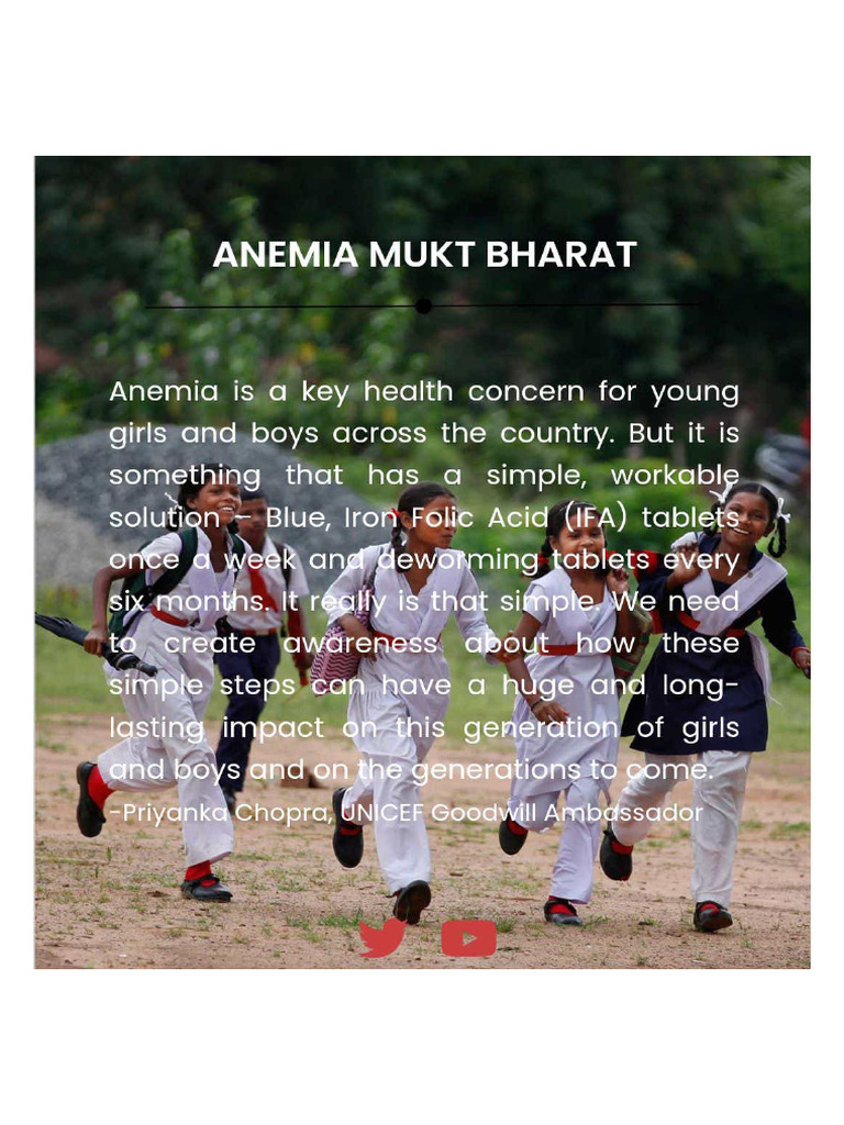 Anemia Mukt Bharat | PDF