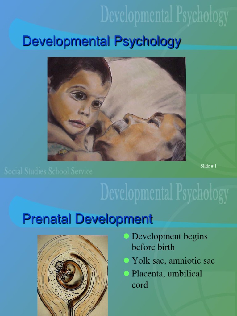 Developmental Psychology Power Point | PDF | Twin | Adolescence