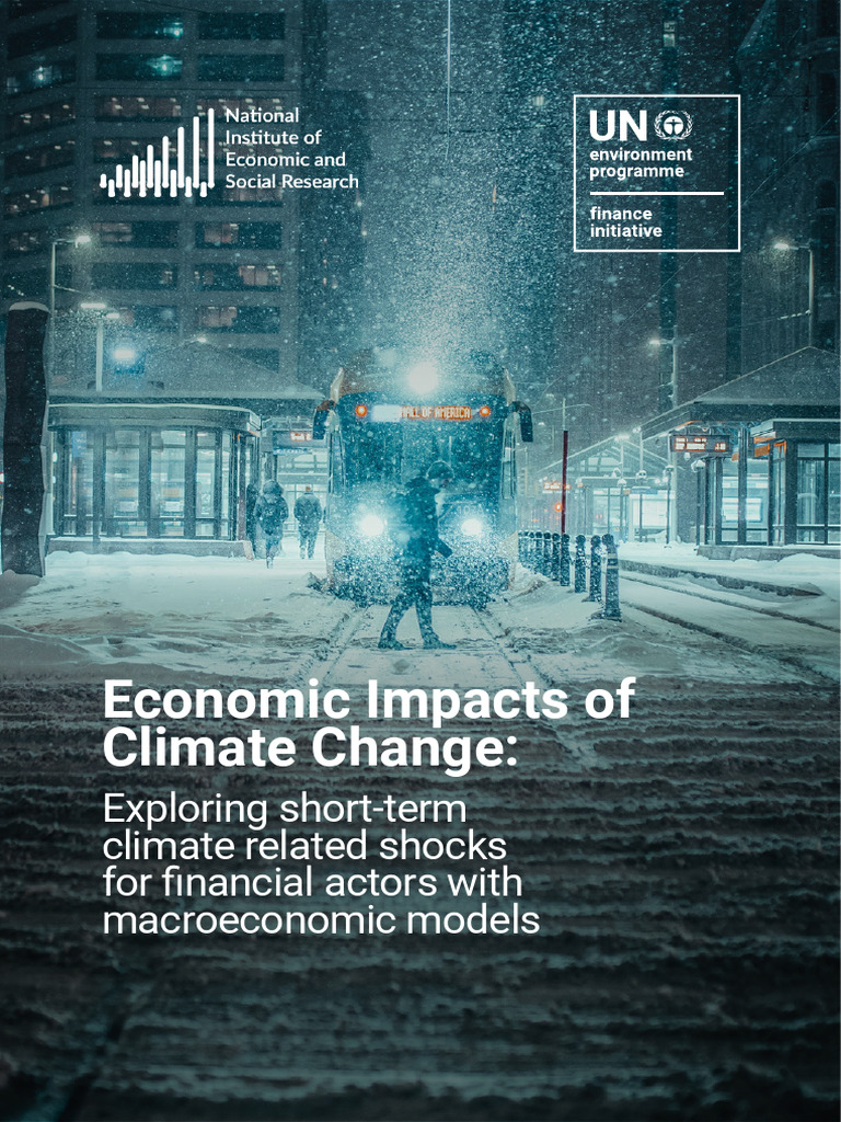 Economic Impacts of Climate Change | PDF | Inflation | Taxes