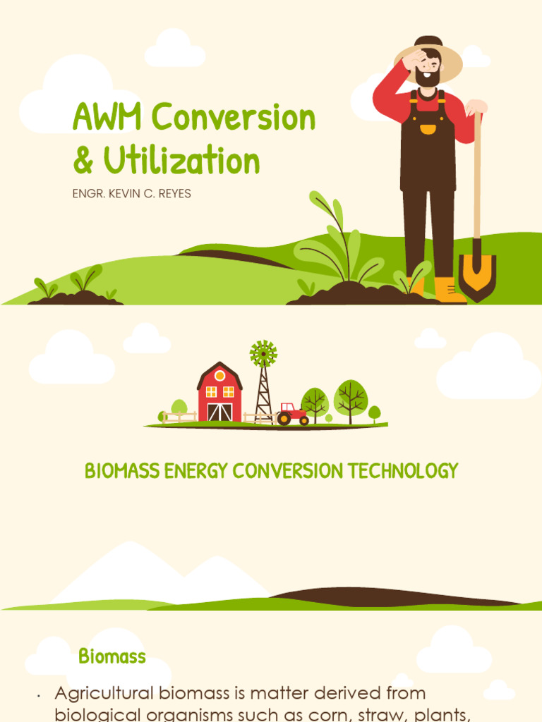 4 AWM Waste Conversion and Utilization | PDF | Gasification | Combustion