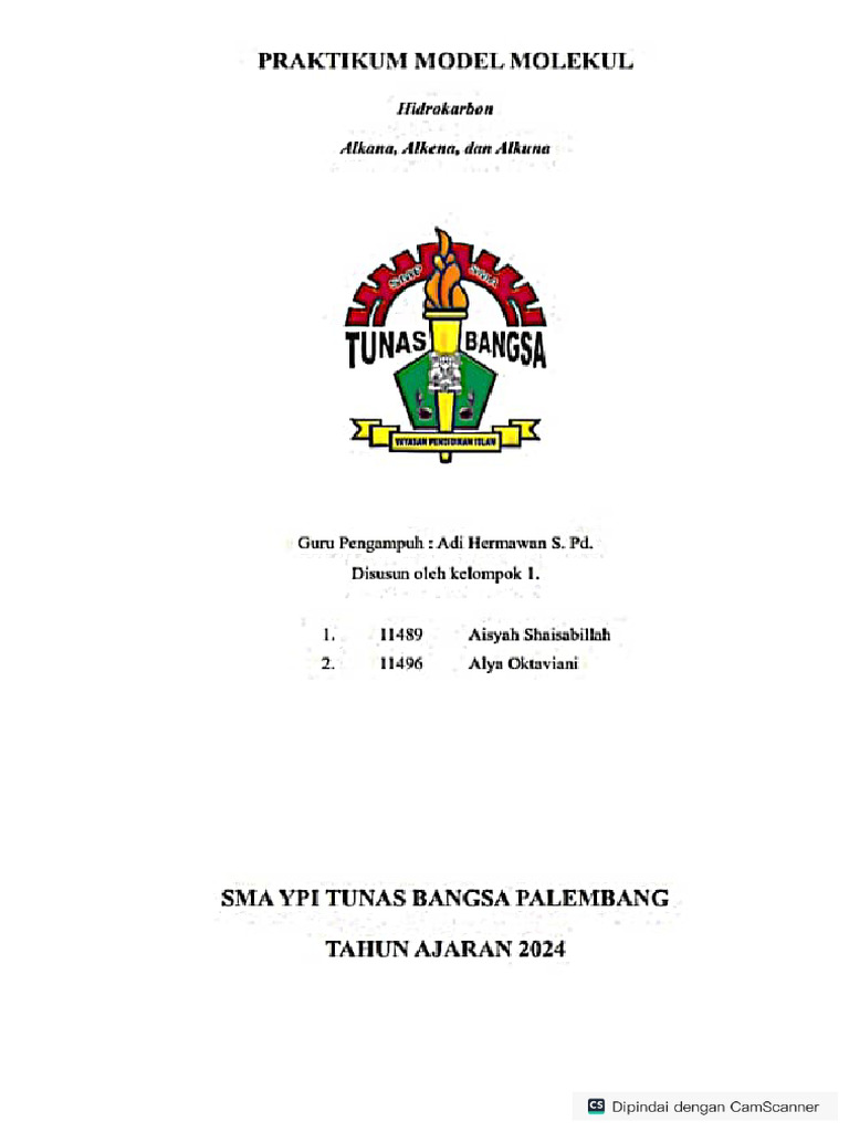 Contoh Laporan Model Molekul | PDF