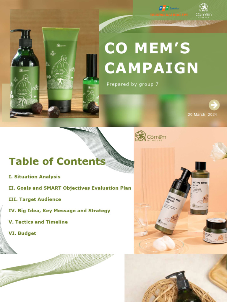 Bra301 - Co Mem Campaign (3) - Compressed | PDF | Brand | Target Audience
