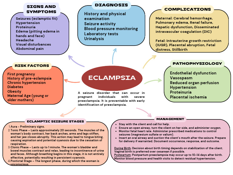 Eclampsia: History and Physical Examination Seizure Activity Blood ...