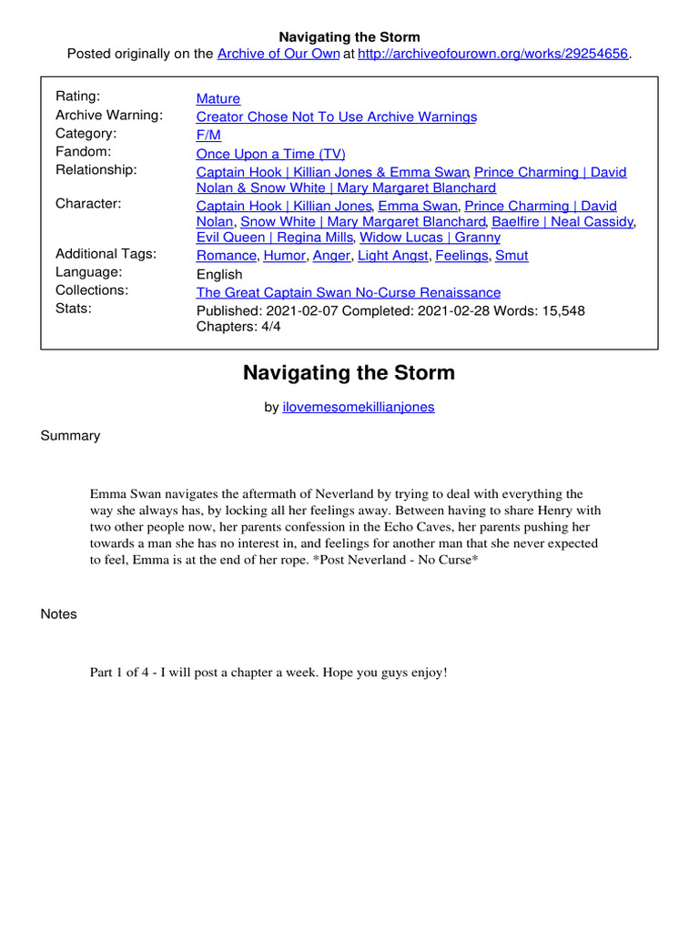 Navigating The Storm | PDF