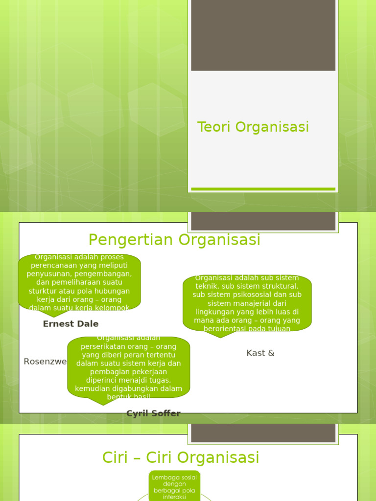 Teori Organisasi P Organisasi | PDF