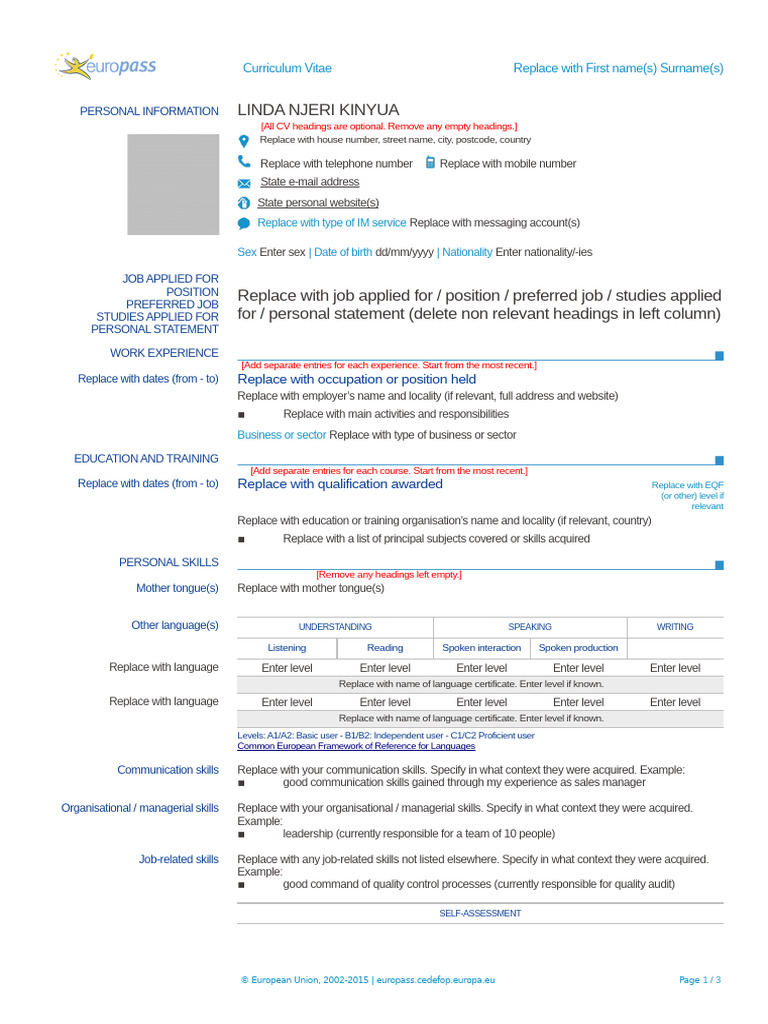 Standard CV | PDF