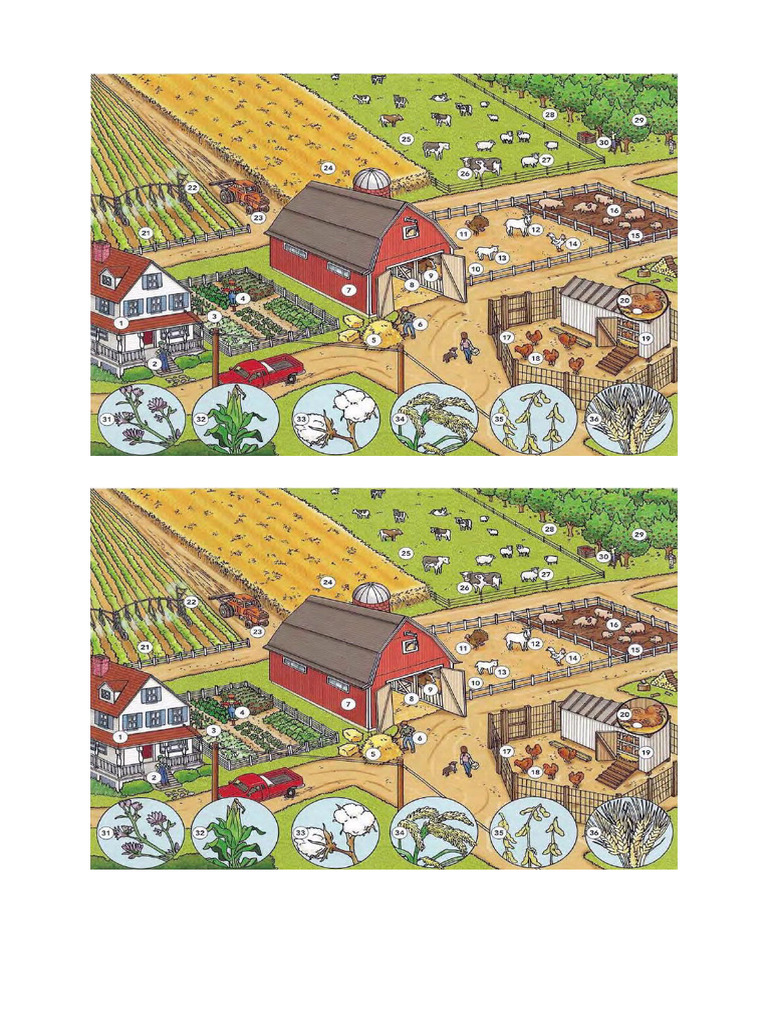Farm House Pdf