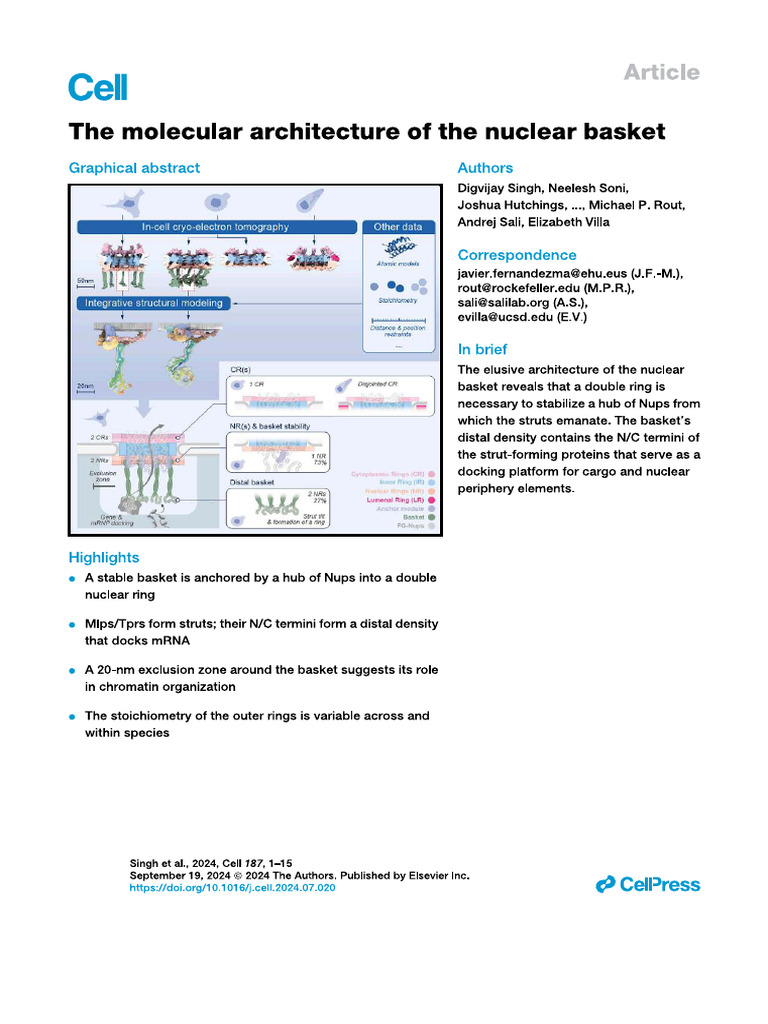 The Molecular Architecture of The Nuclear Basket | PDF