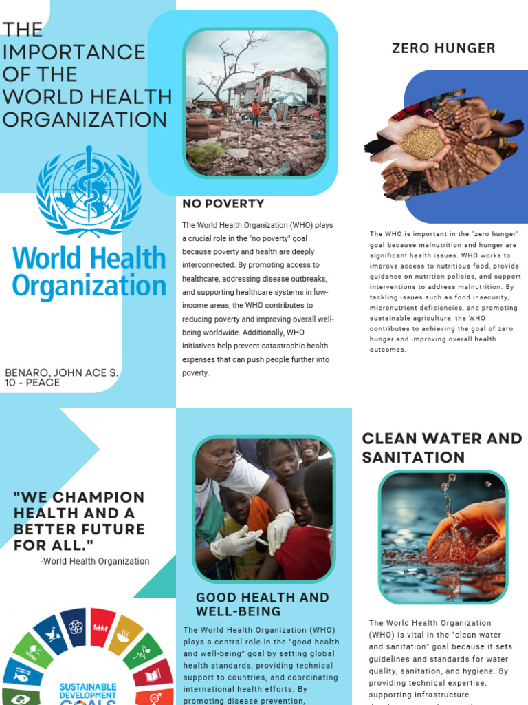 Modern Corporate Trifold Brochure | PDF | World Health Organization ...