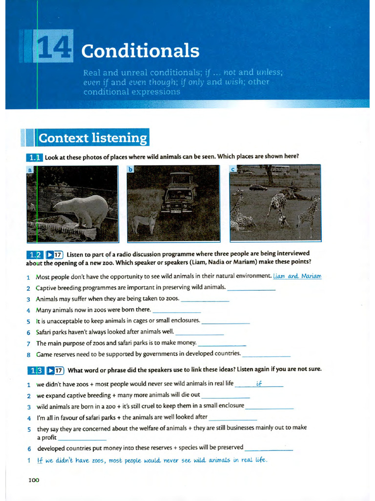 3.Conditionals | PDF