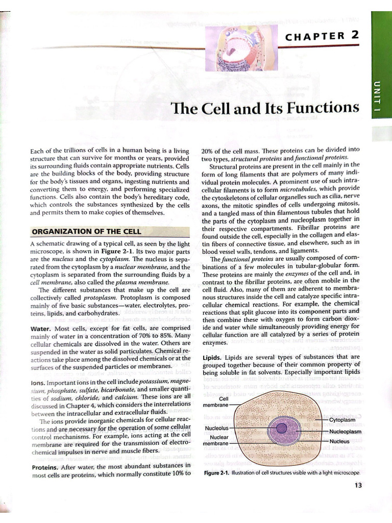 Cell | PDF