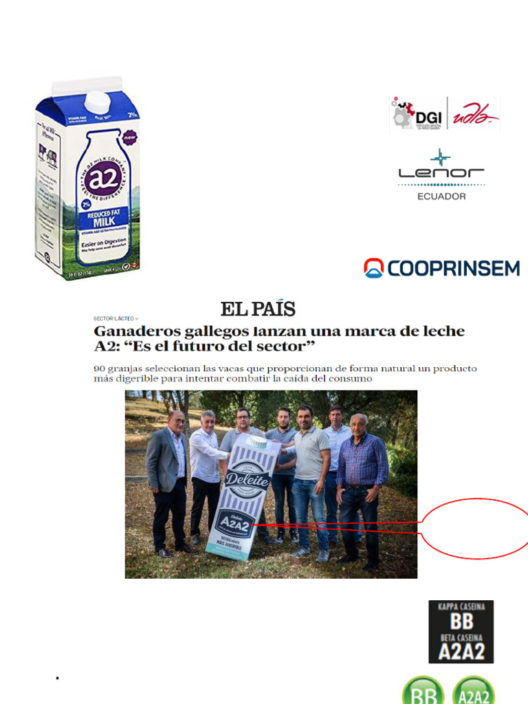 Leche A2 Mitos y Verdades JdeWaard | PDF | Leche | Vacas