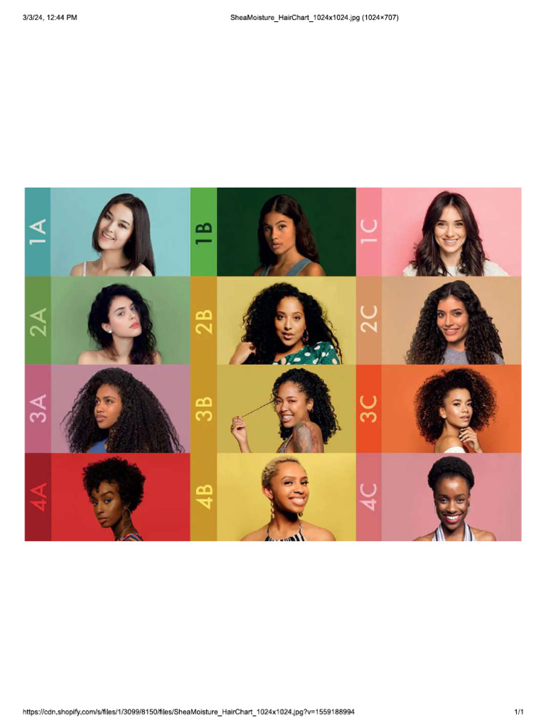 Hair Type | PDF